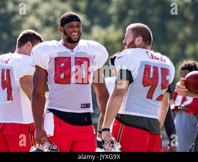 Tampa Bay Buccaneers tight end Tanner Hudson (88) in action during an ...