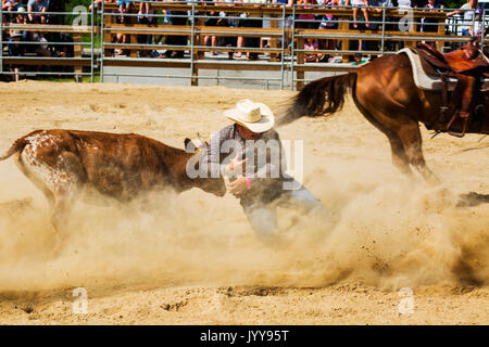 Exeter RAM Rodeo Exeter Ontario Canada Aug 2017 Stock Photo - Alamy