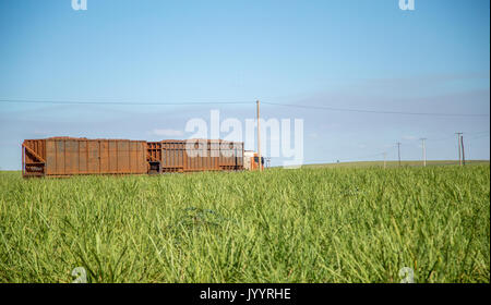 sugar cane transporter Stock Photo - Alamy