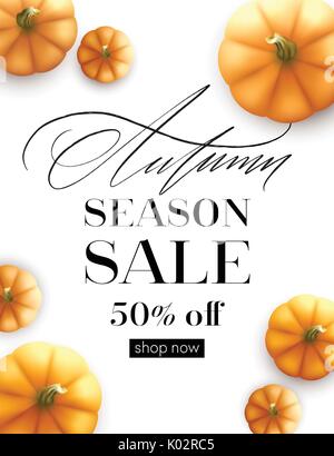Autumn sale background, banner, poster or flyer. Vector illustration ...