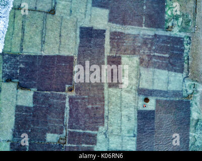 Sea weed farms in the evening on the east of the island of Nusa Penida ...