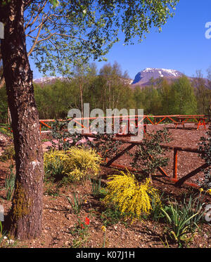 Ben Nevis as seen from the Corpach basin, Lochaber Stock Photo - Alamy
