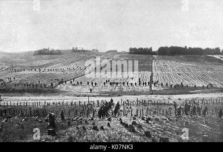 battlefield, eastern front, ww1, wwi, world war one Stock Photo - Alamy