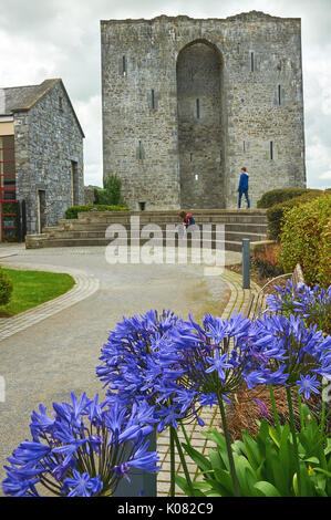 The Listowel Castle in Ireland Stock Photo - Alamy