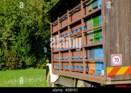 Bee keeping, mobile beehives on trailer in old Saxon village, Crit ...