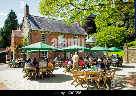 English country pub scene man and dog at bar, wooden beams ceiling ...