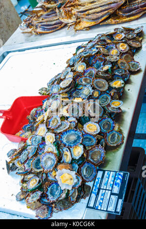 Limpets at Funchal fish market Madeira Portugal Stock Photo - Alamy