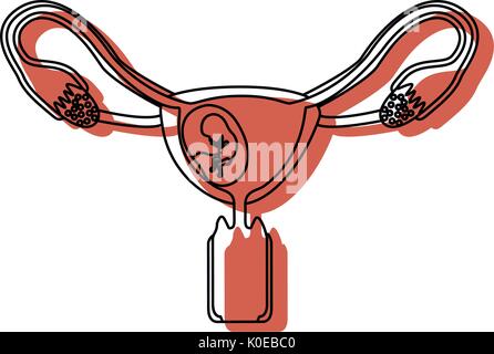 watercolor painted silhouette of female reproductive system ovaries ...