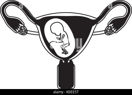 black silhouette of female reproductive system ovaries with fertilized ...
