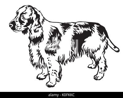 Decorative outline portrait of Dog Springer Spaniel, vector ...
