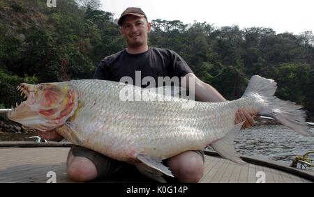 The goliath tigerfish (Hydrocynus goliath) is a very large African ...