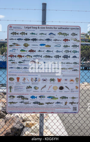 Legal bag and size limits for saltwater fish fishing on the Australian ...