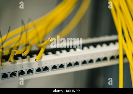 Patch panel with cables, switching, deployment of data network Stock ...