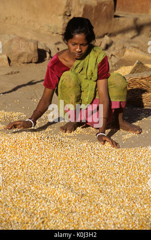 Saora tribal woman, Odisha (Orissa), India Stock Photo - Alamy