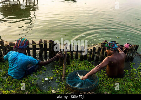 India, West Bengal, Kolkata, fish market Stock Photo - Alamy