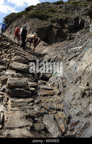 pilgrim, amarnath yatra, Jammu Kashmir, India, Asia Stock Photo - Alamy