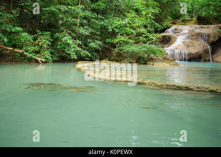 Level 1 of Erawan Waterfall with Neolissochilus stracheyi fish in ...