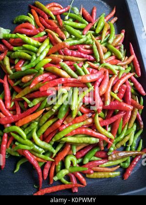 Fresh Bird's eye chili in a small wooden bowl Stock Photo - Alamy
