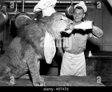 Jackie The Lion & Carleton Carpenter Film: Fearless Fagan (1950 ...