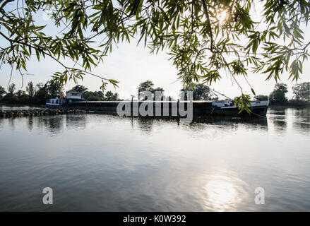 The freight ship "Quadro" went aground on a gravel bank on the river ...