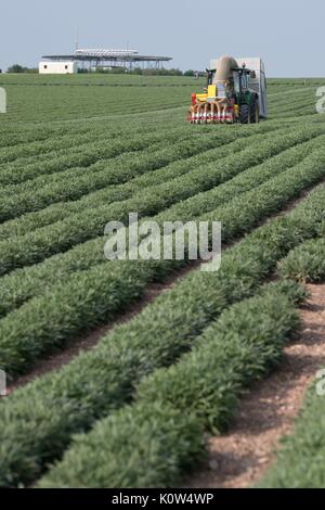 A crop tractor of the Bombastus plant driving through a field and ...