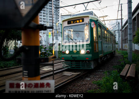 Urban city trolly train running through a rose garden Stock Photo - Alamy