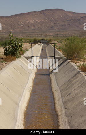 Concrete man-made irrigation ditch in rural orchard of young evergreen ...
