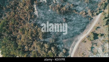 Arson:,Burnt ground due to forest fire damage, Burnt field in Reggio ...