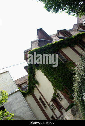 Ivy clad tower in France - French Castle tower - Rapunzel Stock Photo ...