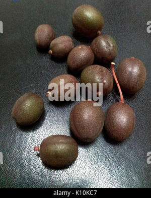 Aloe tormentorii fruits - Mauritius 5 Stock Photo - Alamy