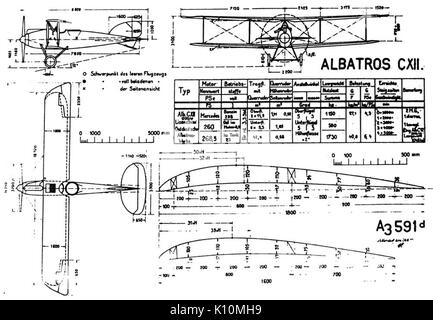 The Albatros D XII was a German fighter aircraft introduced in 1918 ...