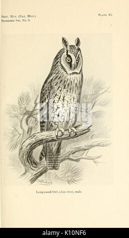 Birds Beneficial to Agriculture, Harvard University, MCZ, Ernst Mayr ...