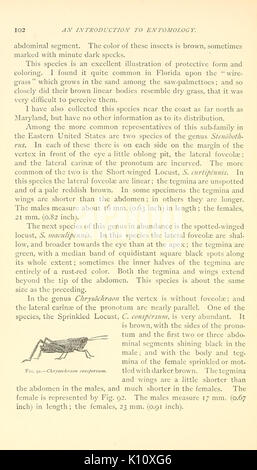 An introduction to entomology (Page 102 Stock Photo - Alamy