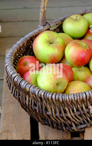 A wicker basket with rosy apples on a wooden porch surrounded by ...
