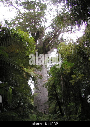 Flora of another world Stock Photo - Alamy