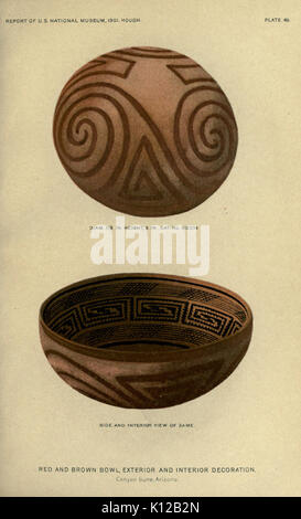 Archeological field work in northeastern Arizona. The Museum-Gates ...