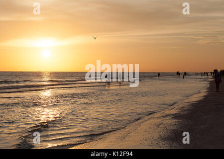 Sunset on Anna Maria Island, Florida, USA Stock Photo - Alamy