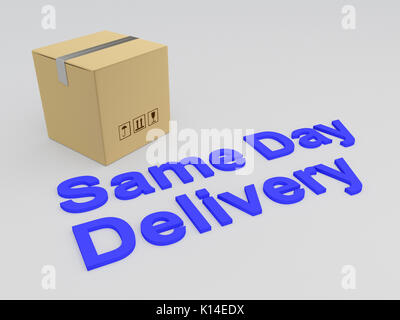 same day delivery illustration design over a white background design ...