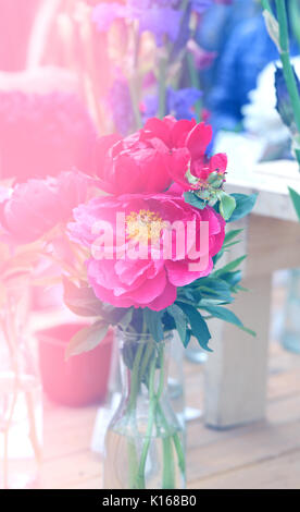 Photo interesting beautiful peonies in a summer park Stock Photo - Alamy