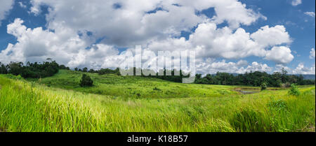 landscape of Meadow with tree , Khao Yai National Park Thailand Stock ...