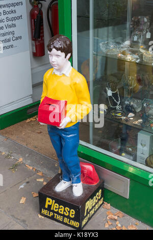 Please help the blind charity box with model of young boy Stock Photo ...