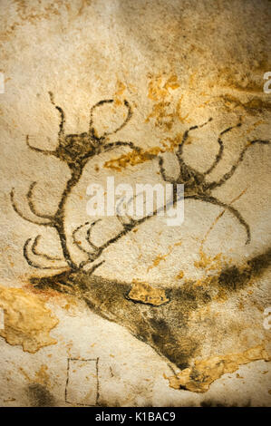 Prehistoric cave paintings of Red Deer stags, Cervus elaphus, Lascaux ...