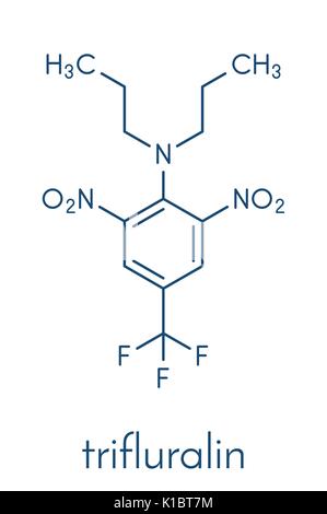 Trifluralin herbicide molecule. Skeletal formula Stock Vector Image ...