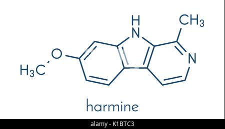 Harmine molecule. It is fluorescent harmala alkaloid, inhibits ...