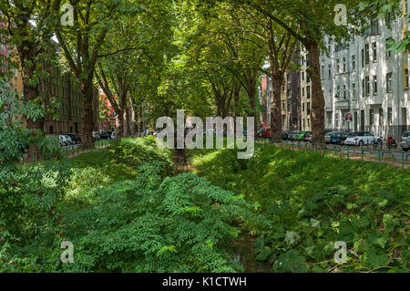 The River Düssel flowing along Karolinger Strasse in Düsseldorf ...