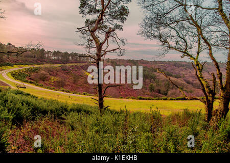 Landscapes and gardens of Surrey England Stock Photo - Alamy