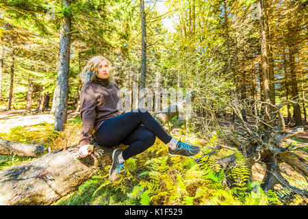 Young woman sitting on fallen tree trunk in forest Stock Photo - Alamy
