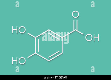 Protocatechuic acid (PCA) green tea antioxidant, molecular model Stock ...