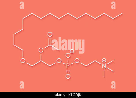 Platelet Activating Factor (PAF) signaling molecule. Stylized skeletal ...