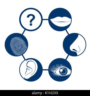 sixth sense, the eye icon sign. Set of colorful, bright long buttons ...